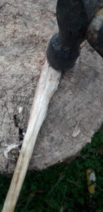 7 Important Steps to Processing Your Own Sinew (Guide) - Southmoor Bows
