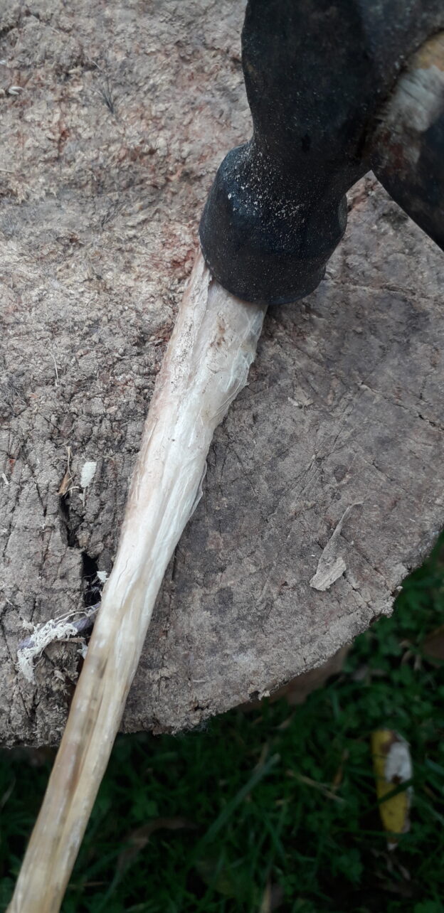 7 Important Steps to Processing Your Own Sinew (Guide) - Southmoor Bows