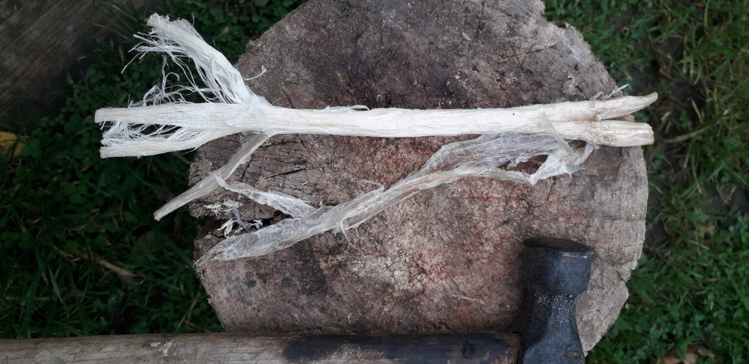 7 Important Steps to Processing Your Own Sinew (Guide) - Southmoor Bows