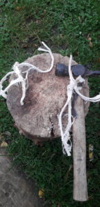 7 Important Steps to Processing Your Own Sinew (Guide) - Southmoor Bows