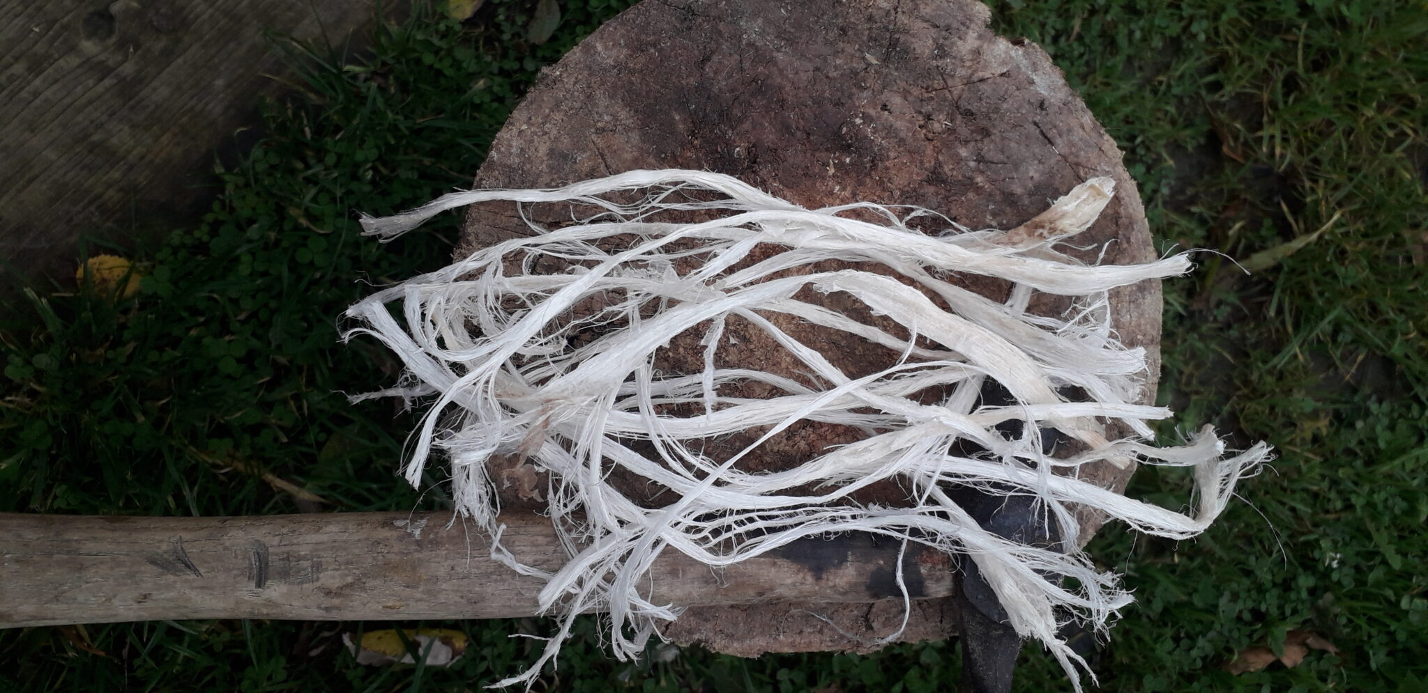 7 Important Steps to Processing Your Own Sinew (Guide) - Southmoor Bows